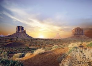 Barren Wasteland: Understanding, Causes, and Restoration - Buy Fresh ...